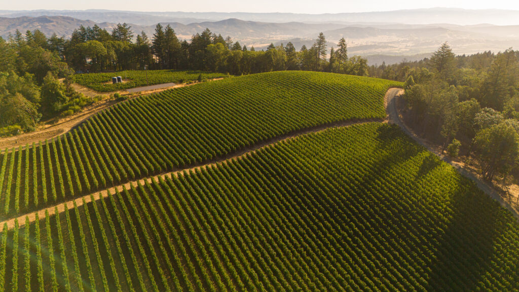 OUR WINES - Flint Knoll Wines